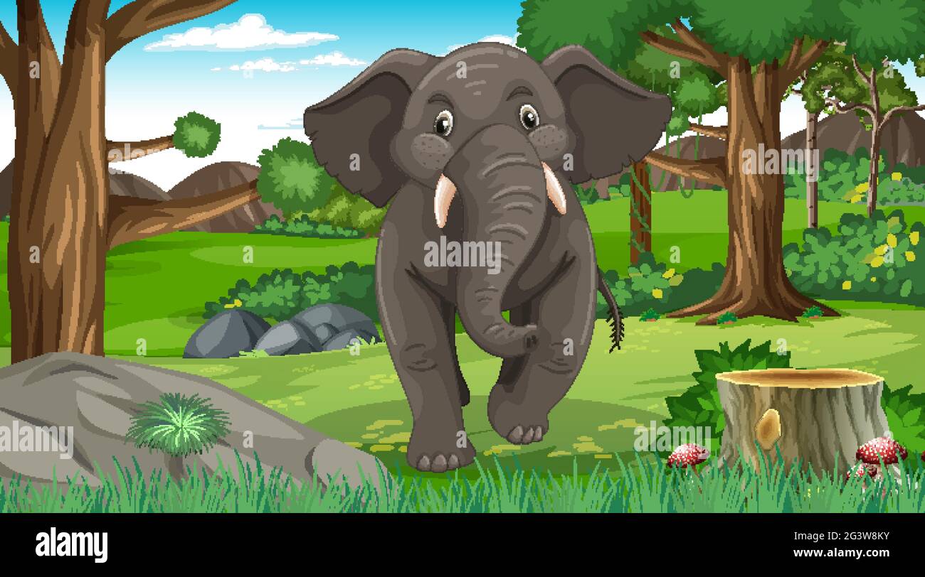 Elephant in forest or rainforest scene with many trees illustration ...