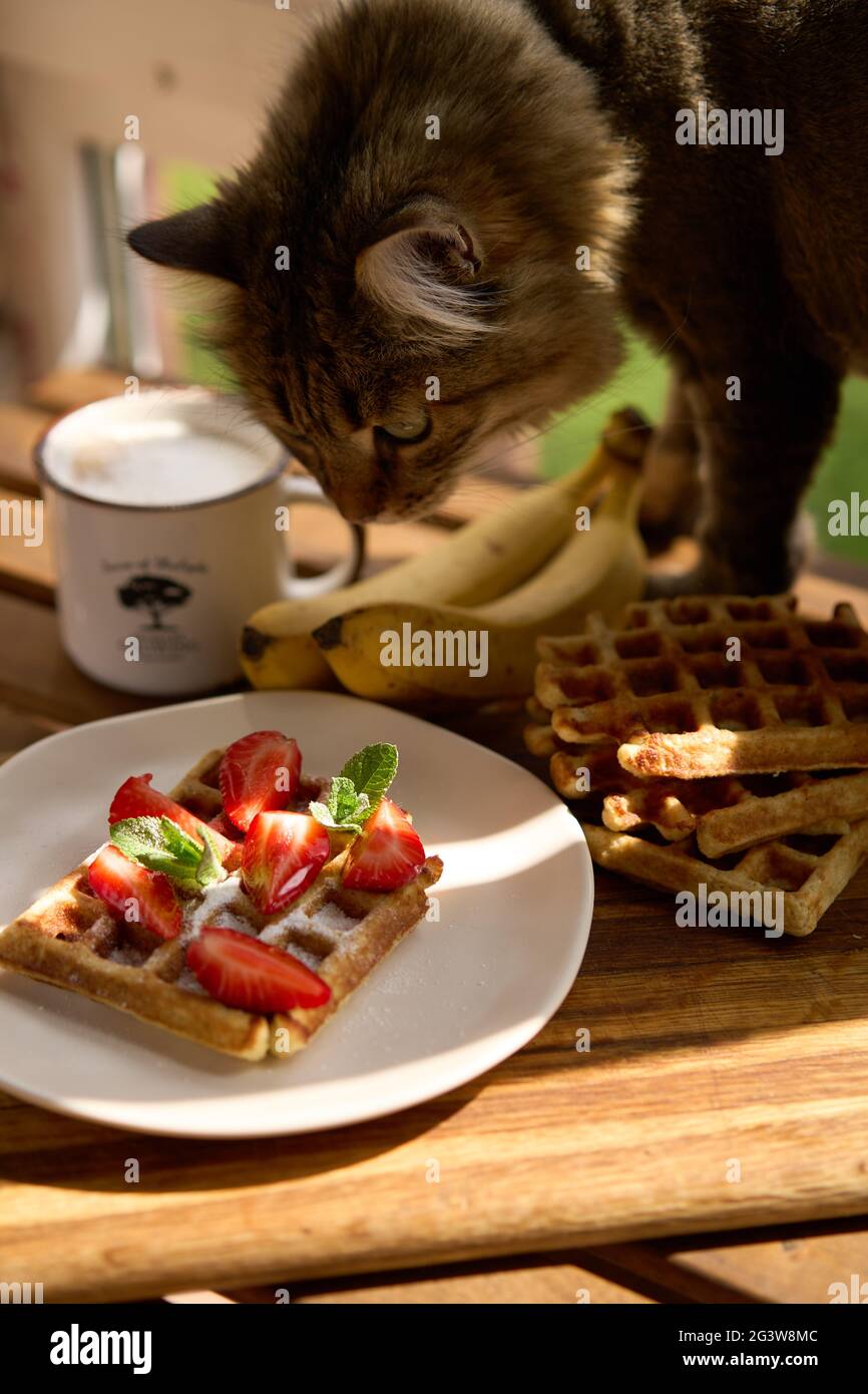 Closeup view of breakfast belgium waffles with strawberry and banana ...