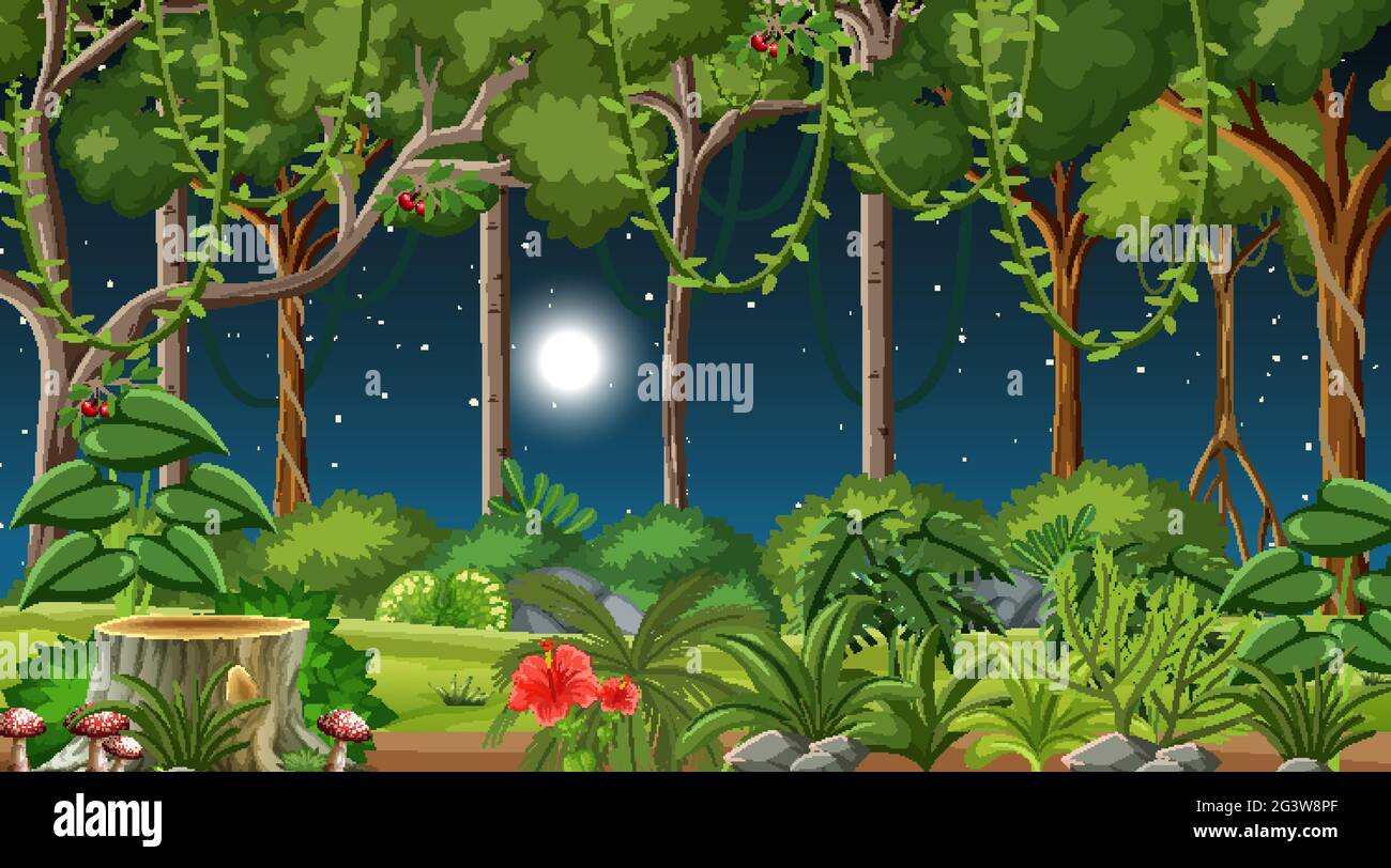 Forest at night landscape scene illustration Stock Vector Image & Art ...