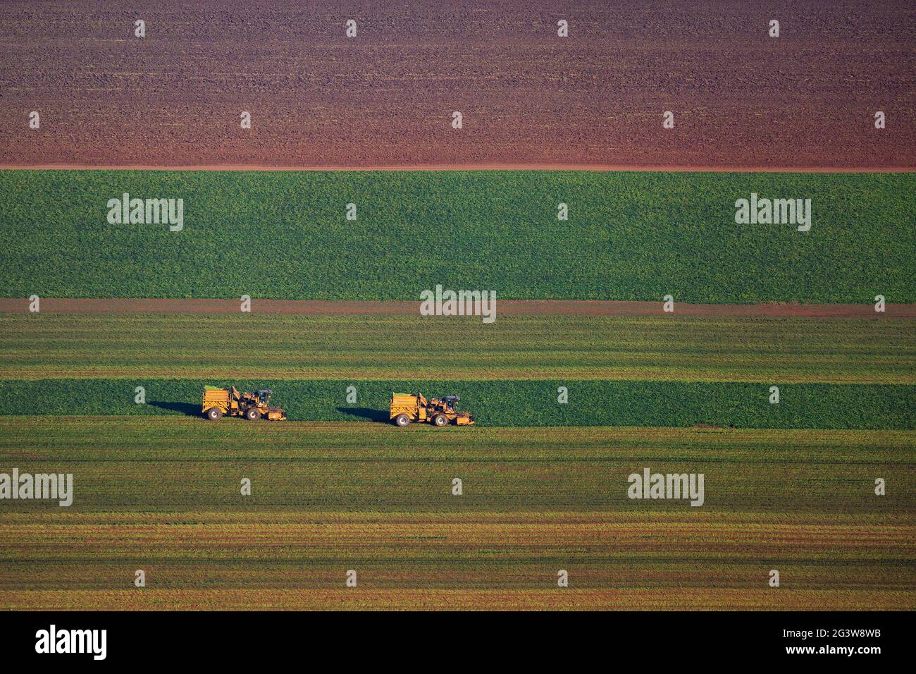 Crops Farming Agriculture Autumn High Resolution Stock Photography and ...