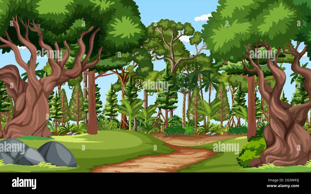 Forest scene with various forest trees illustration Stock Vector Image ...