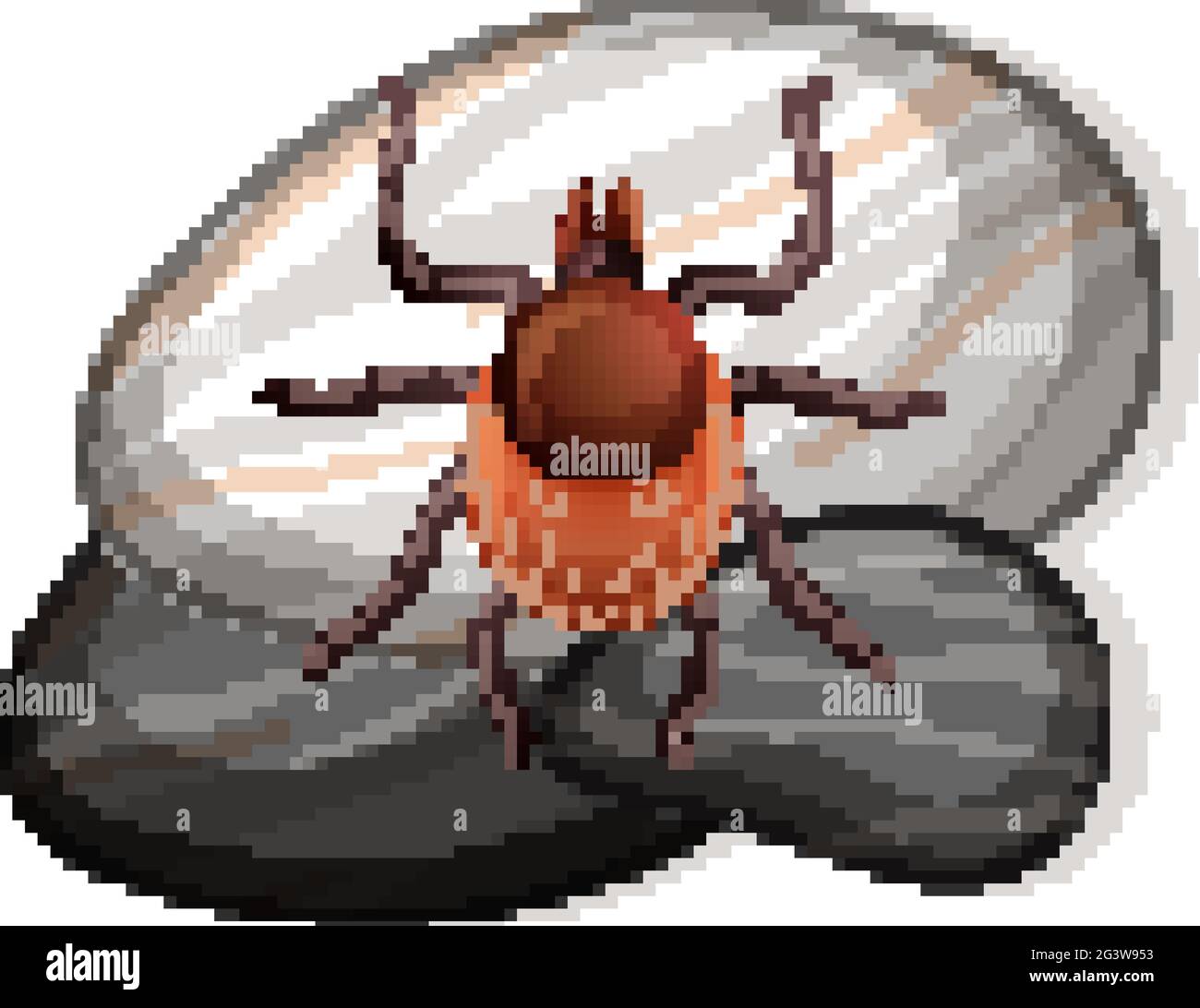 Top view of tick on a stone on white background illustration Stock ...