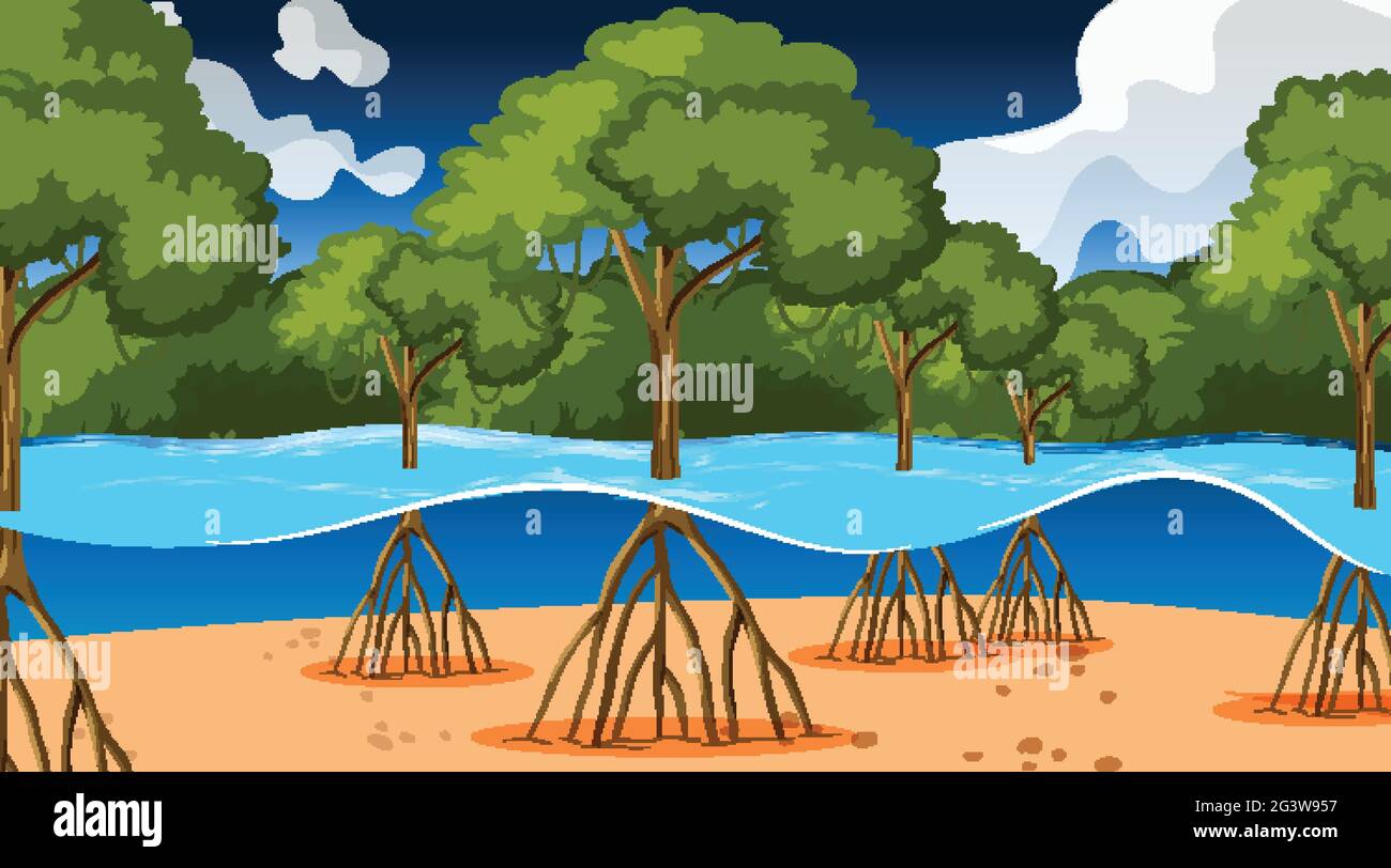 Nature scene with Mangrove forest at night in cartoon style ...