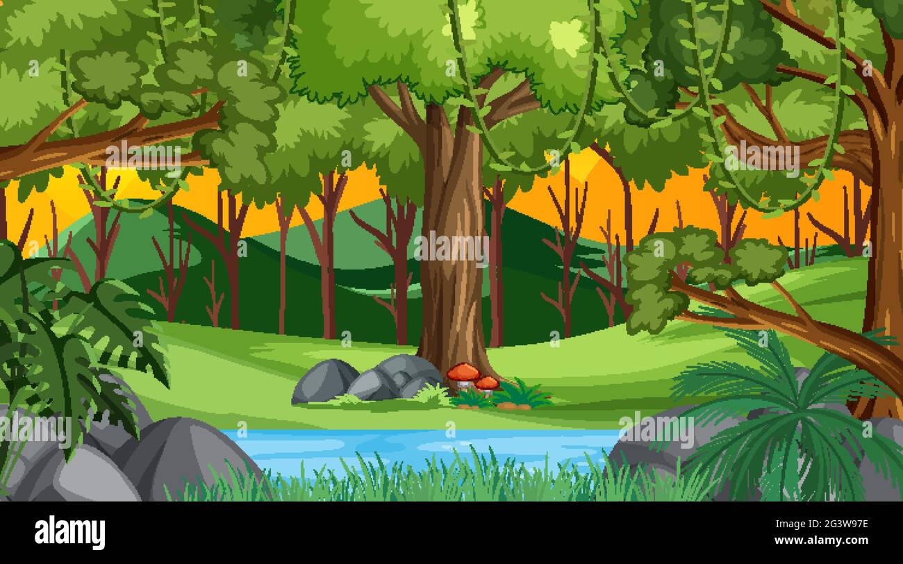 Forest at sunset time landscape scene illustration Stock Vector Image ...