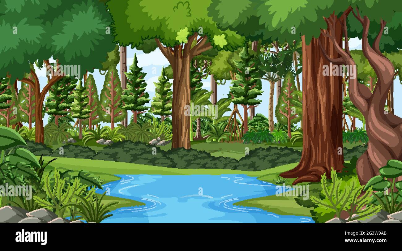 Forest landscape scene at day time with many different trees ...