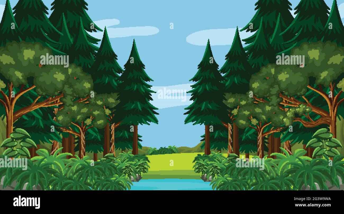 Blank forest at daytime scene with various forest trees illustration ...