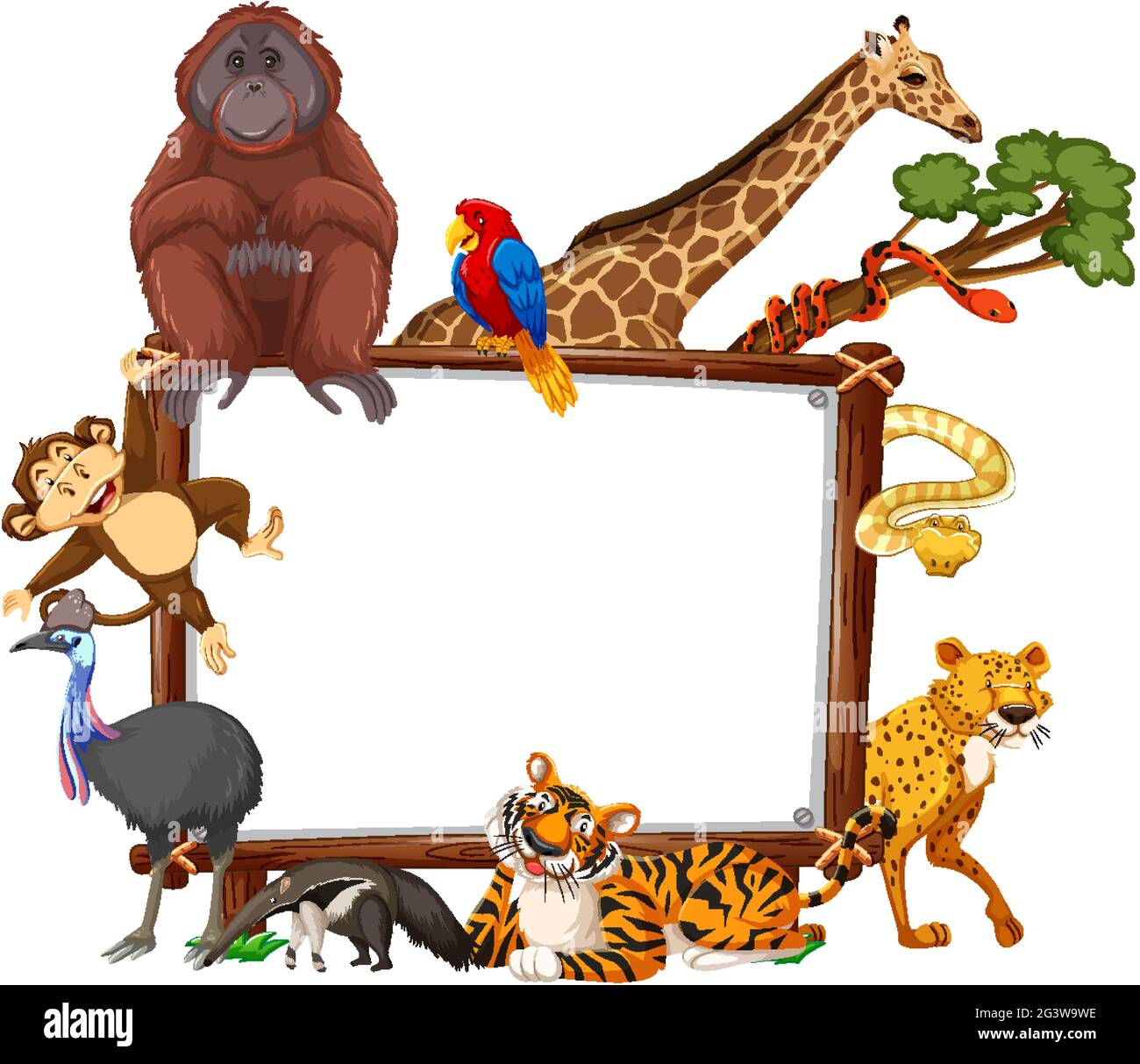 Empty banner with wild animals on white background illustration Stock ...