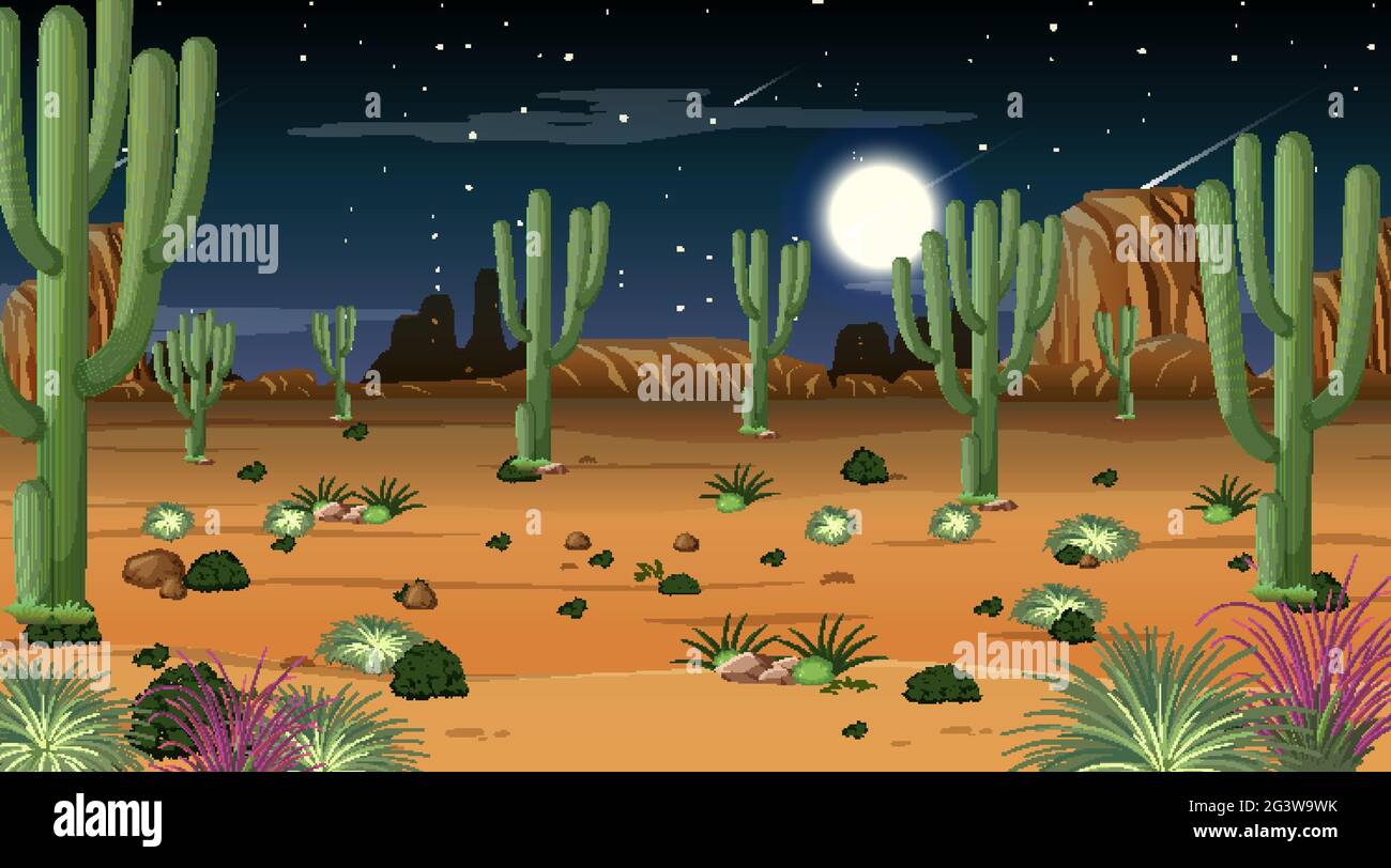 Desert forest landscape at night scene illustration Stock Vector Image & Art - Alamy