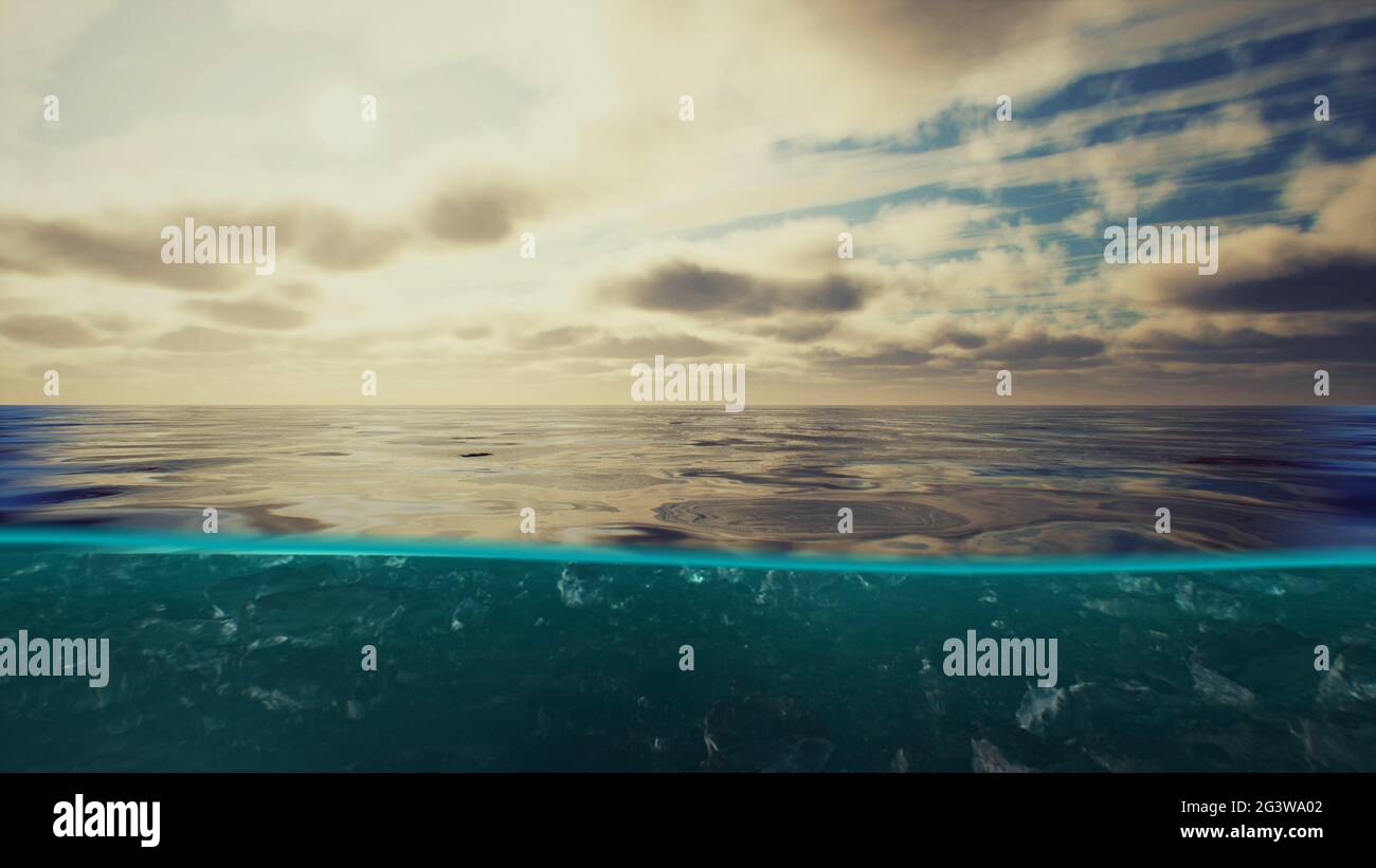 Split view sea bottom hi-res stock photography and images - Alamy