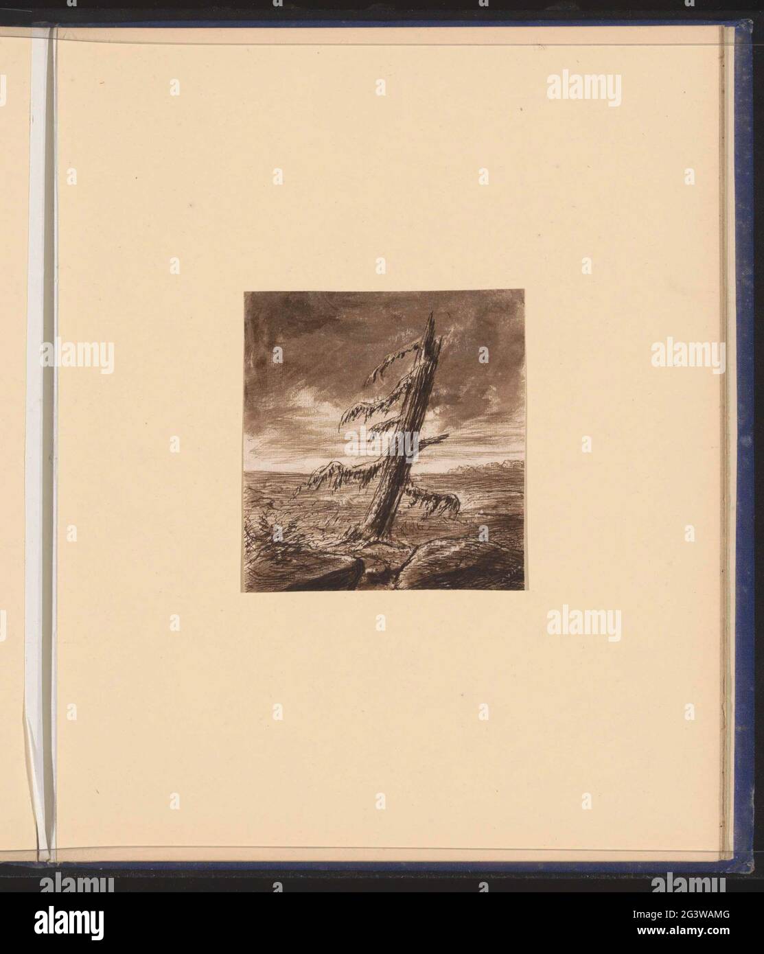 Tree with broken trunk in a landscape. Drawing on leaf 22 from an album ...