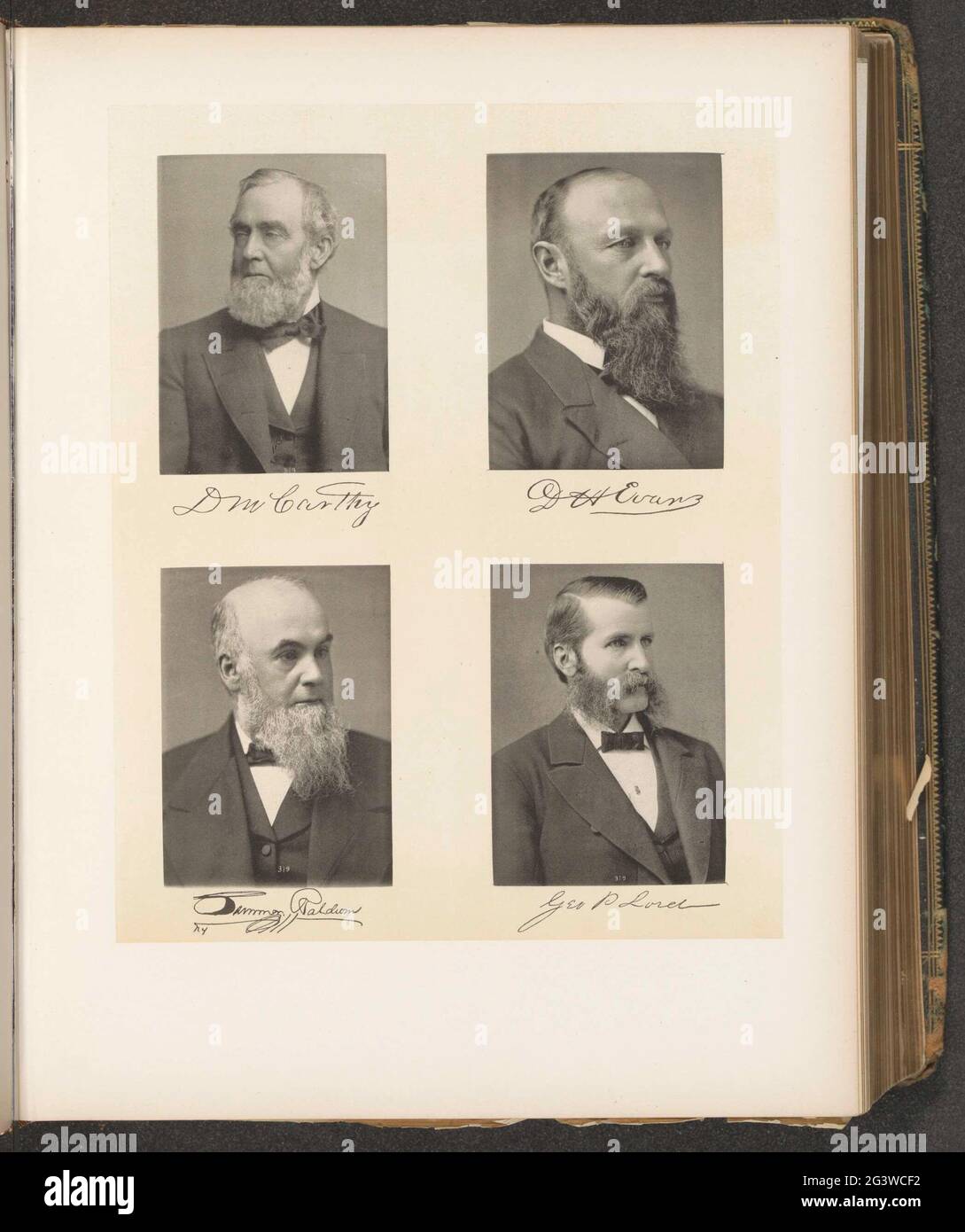 Portraits of four Senate members of the state of New York. Top left ...