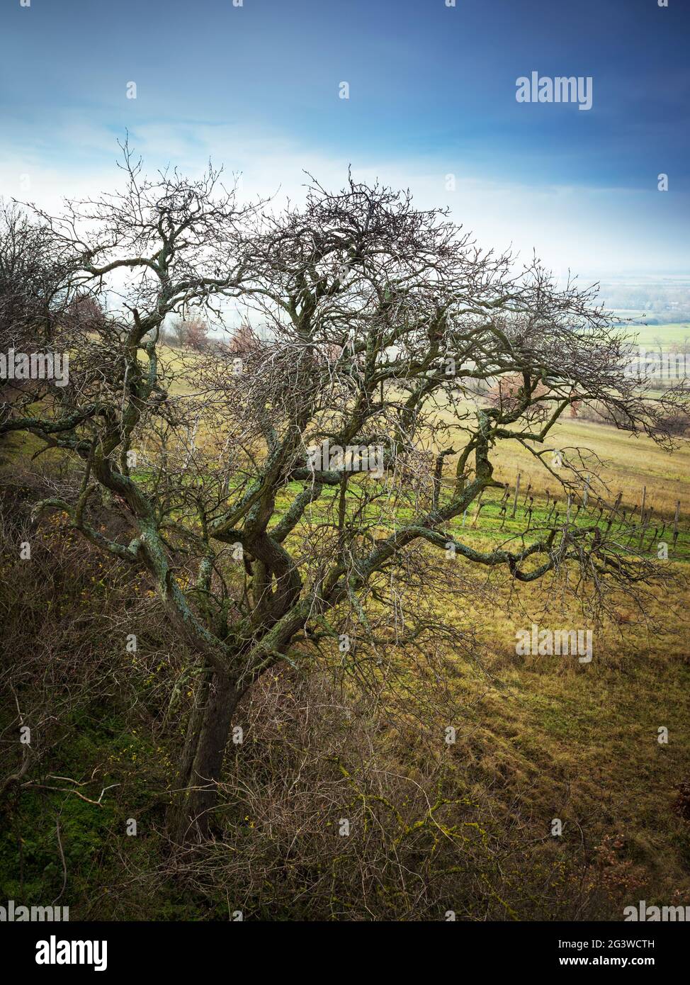 Hungariat hi-res stock photography and images - Alamy