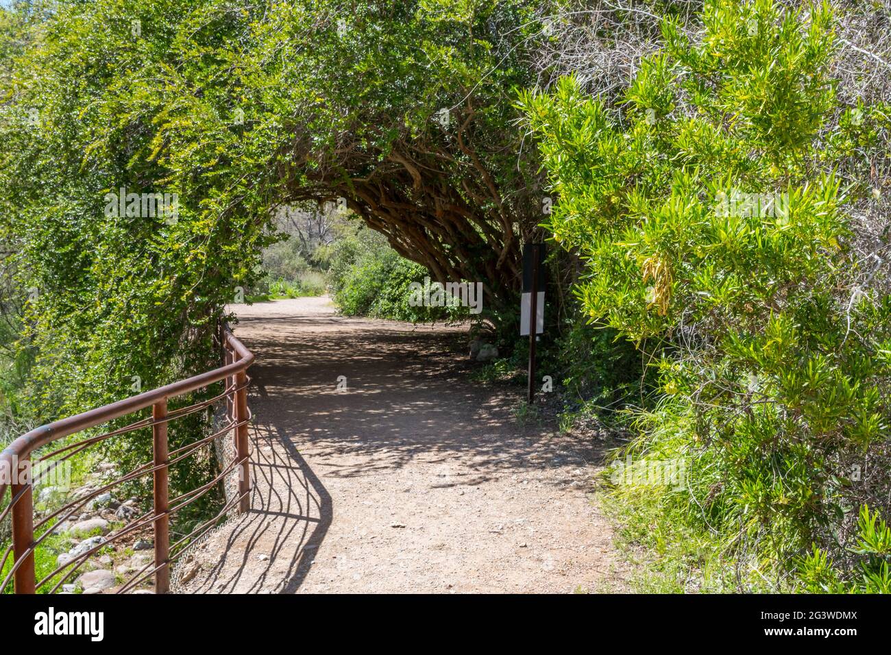 An overlooking view of nature in Boyce Thompson Arboretum SP, Arizona ...