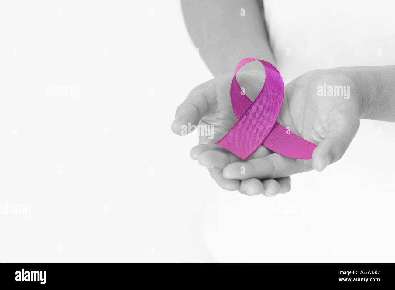 Hands holding purple or violet ribbon on white background, copy space ...