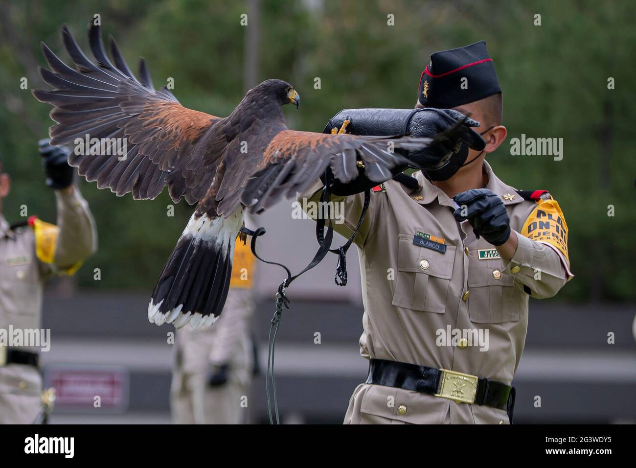 Non Exclusive: MEXICO CITY, MEXICO - JUNE 17: A cadet of the Mexican Army, performs a training ...