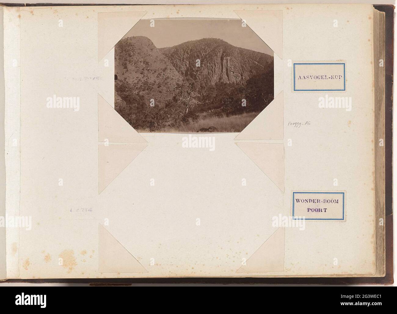 Face of aas bird head in South Africa; AasVogel head. Part of album ...