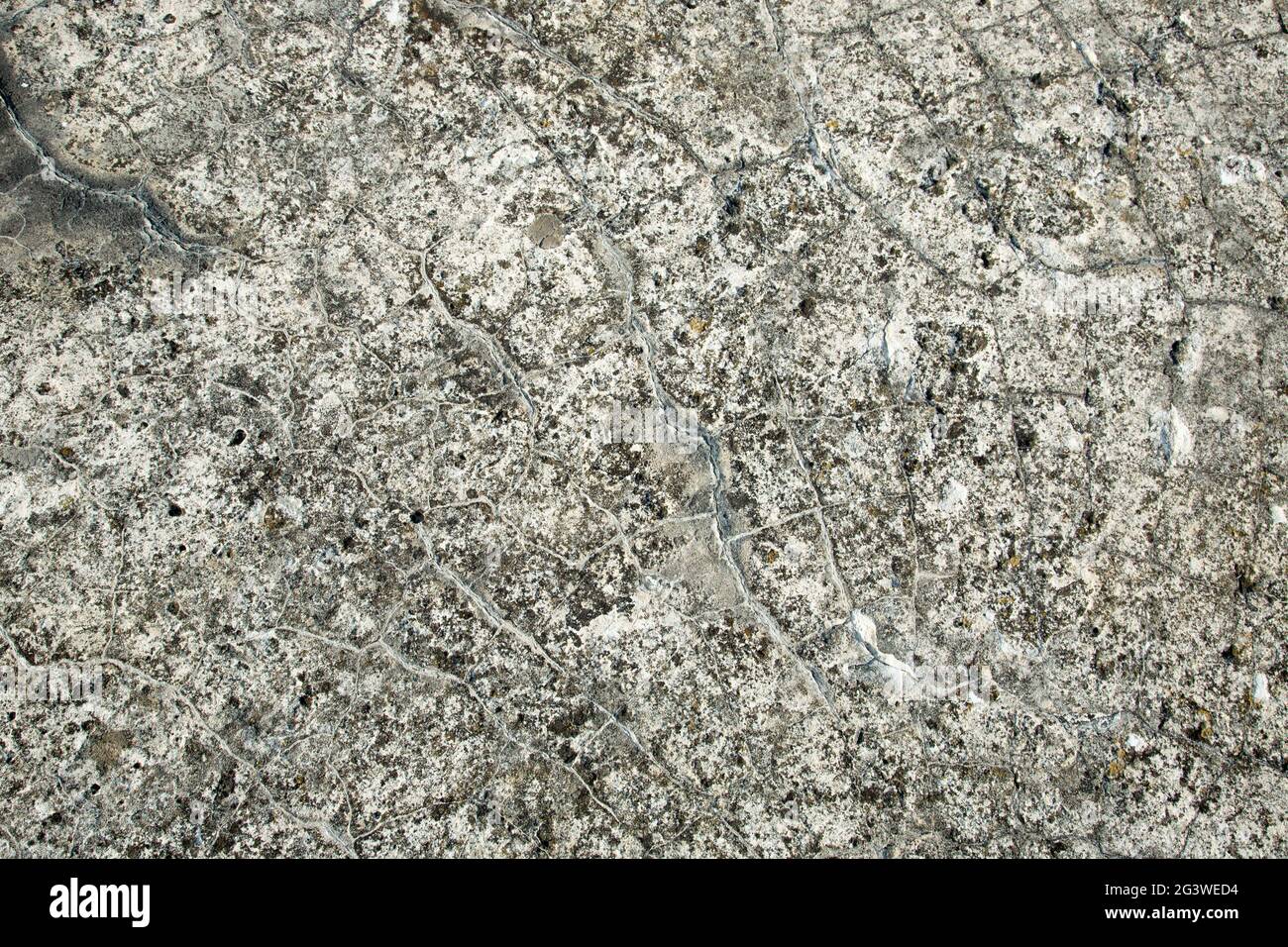 Rough and smooth textures hi-res stock photography and images - Alamy