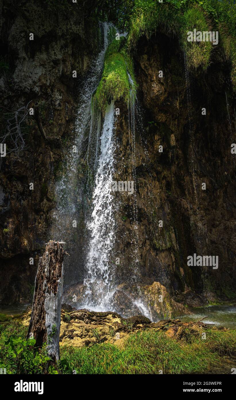 Tree trunk in front of tall waterfall illuminated by sunlight in ...