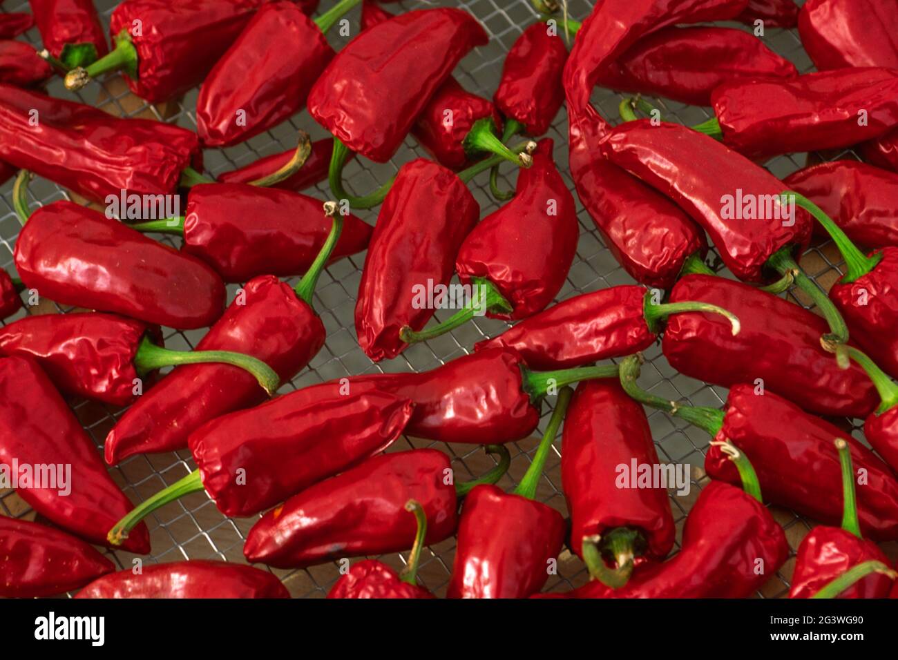 FRANCE. PYRENEES-ATLANTIQUES (64) BASQUE COUNTRY. VILLAGE OF ESPELETTE ...