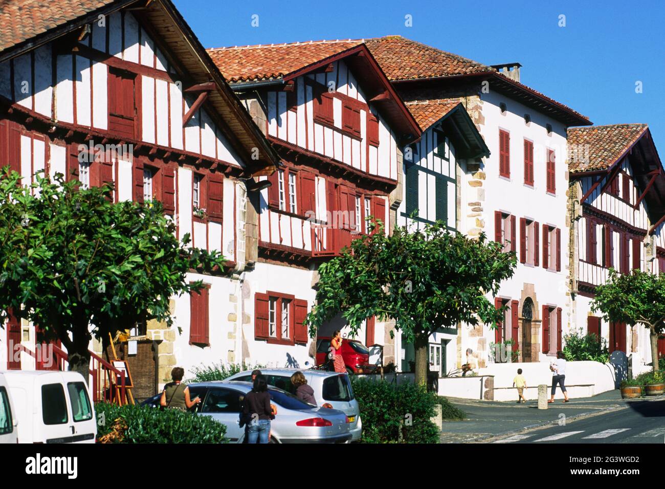 FRANCE. PYRENEES-ATLANTIQUES (64) BASQUE COUTRY. IN THE NIVELLE'S ...