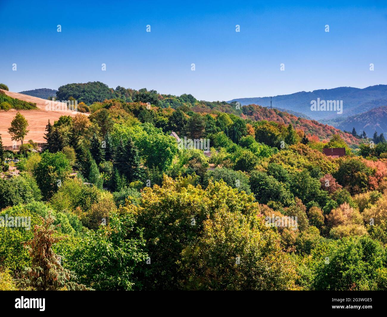 Beautiful lack in middle hi-res stock photography and images - Alamy