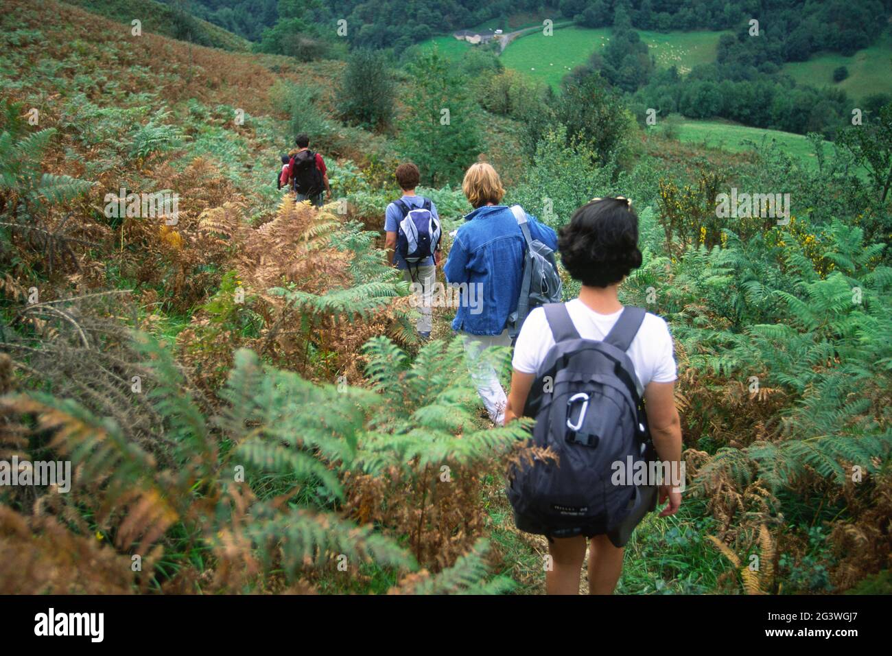 Licq atherey hi-res stock photography and images - Alamy