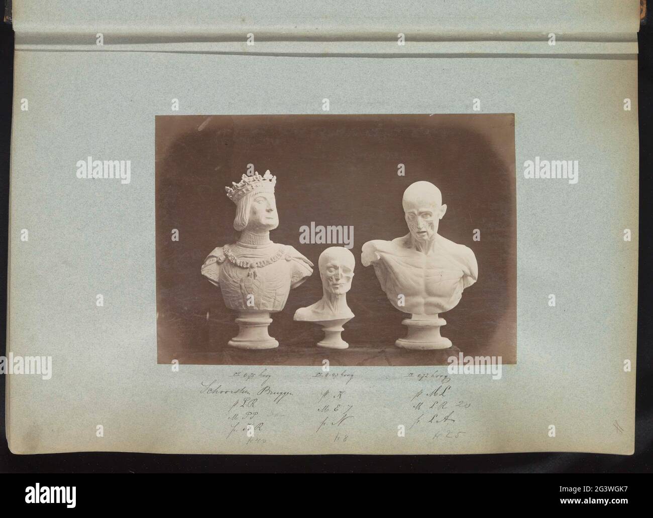 Three plaster casts from busts Stock Photo - Alamy