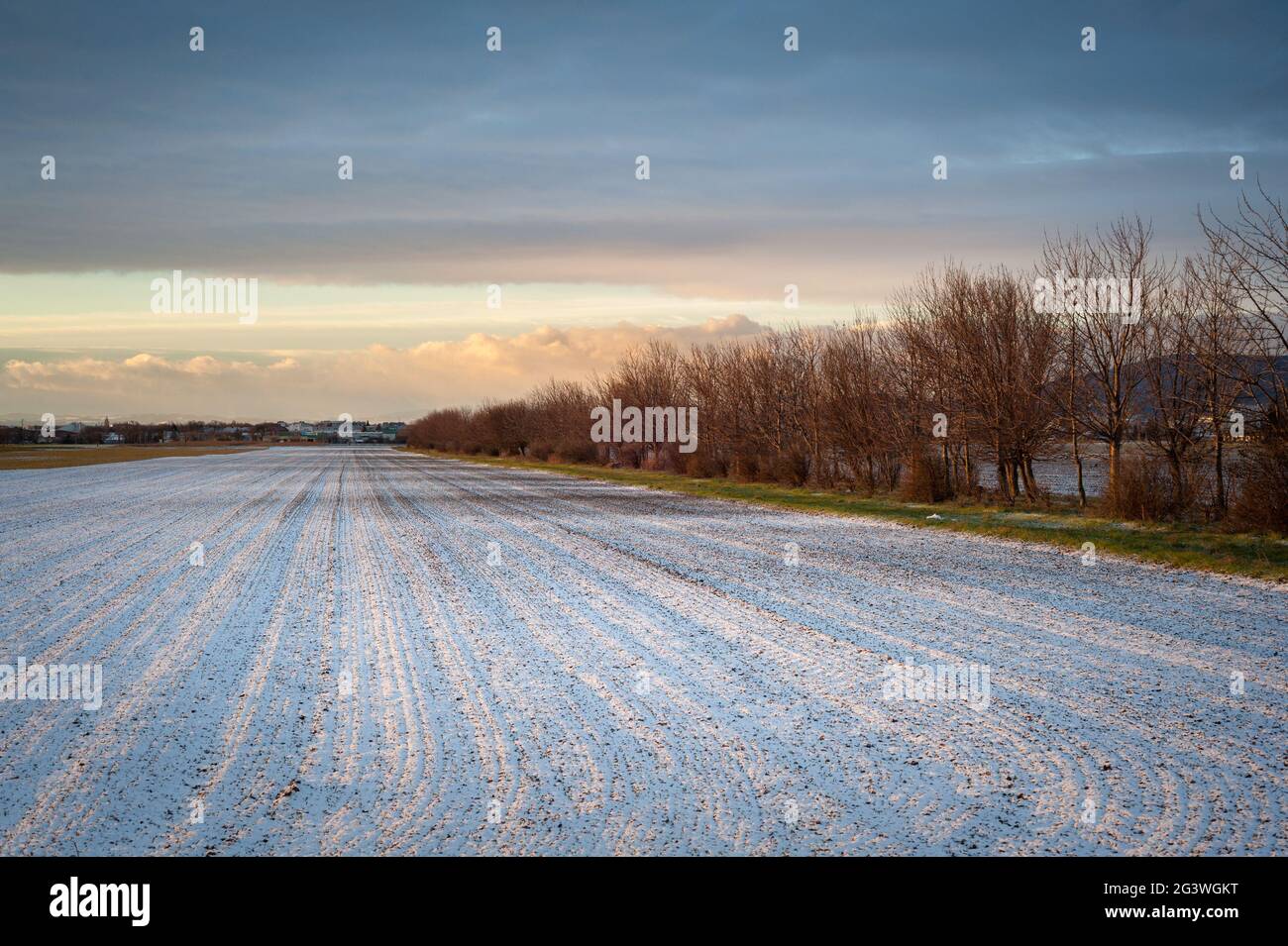 Agricultural composition hi-res stock photography and images - Alamy