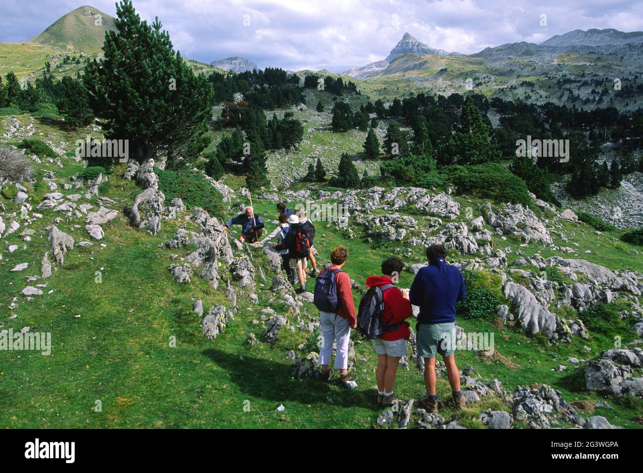 FRANCE. PYRENEES-ATLANTIQUES (64) BASQUE COUTRY. LA SOULE. UPON SAINT ...