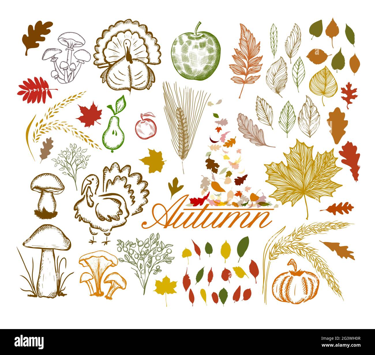 Hello Autumn. A set of autumn items. Vector illustration Stock Vector ...