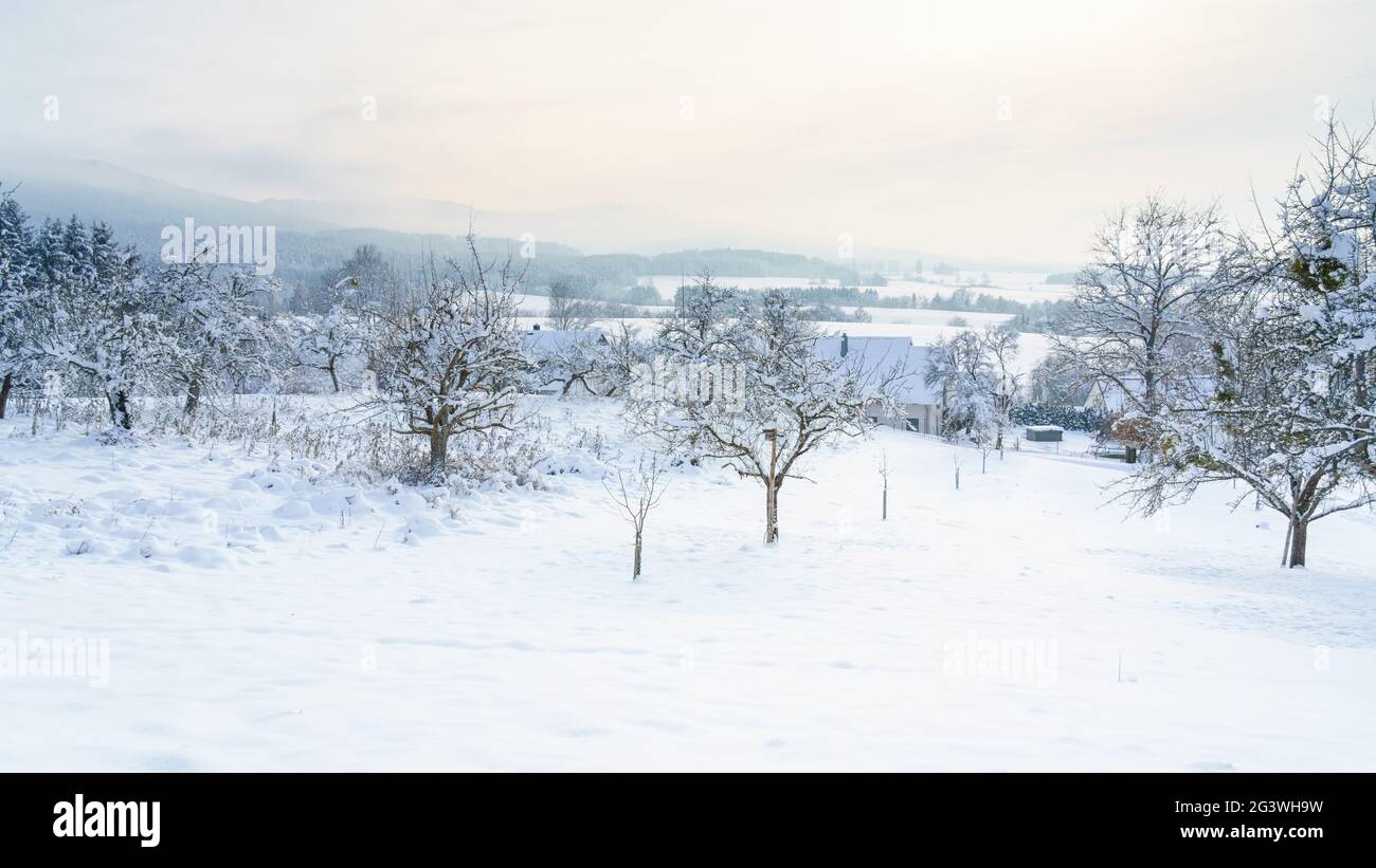 Cold winter snow scenery Stock Photo - Alamy
