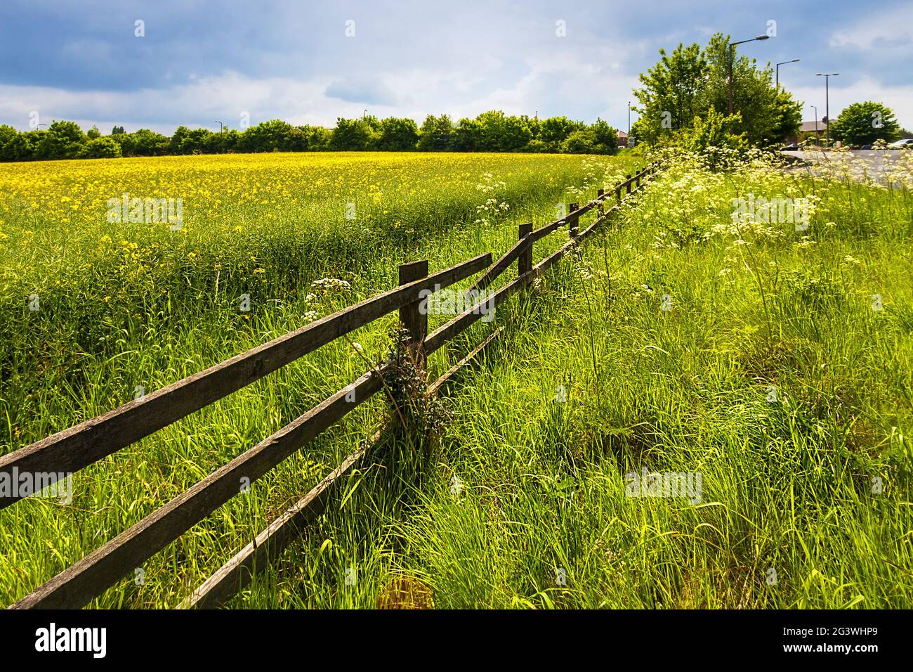 Fence in the green field Stock Photo - Alamy
