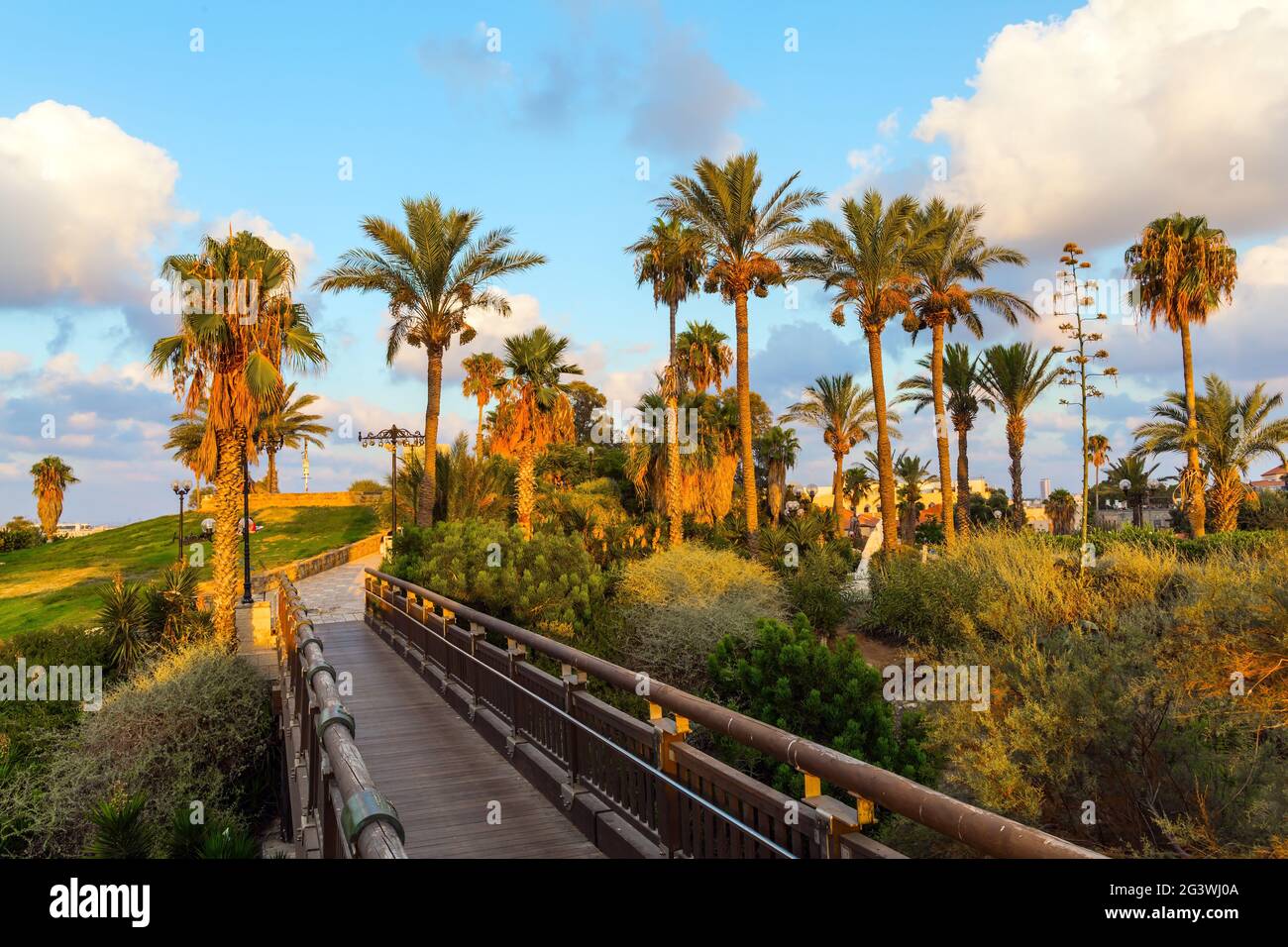 Bridge palm trees sea hi-res stock photography and images - Alamy