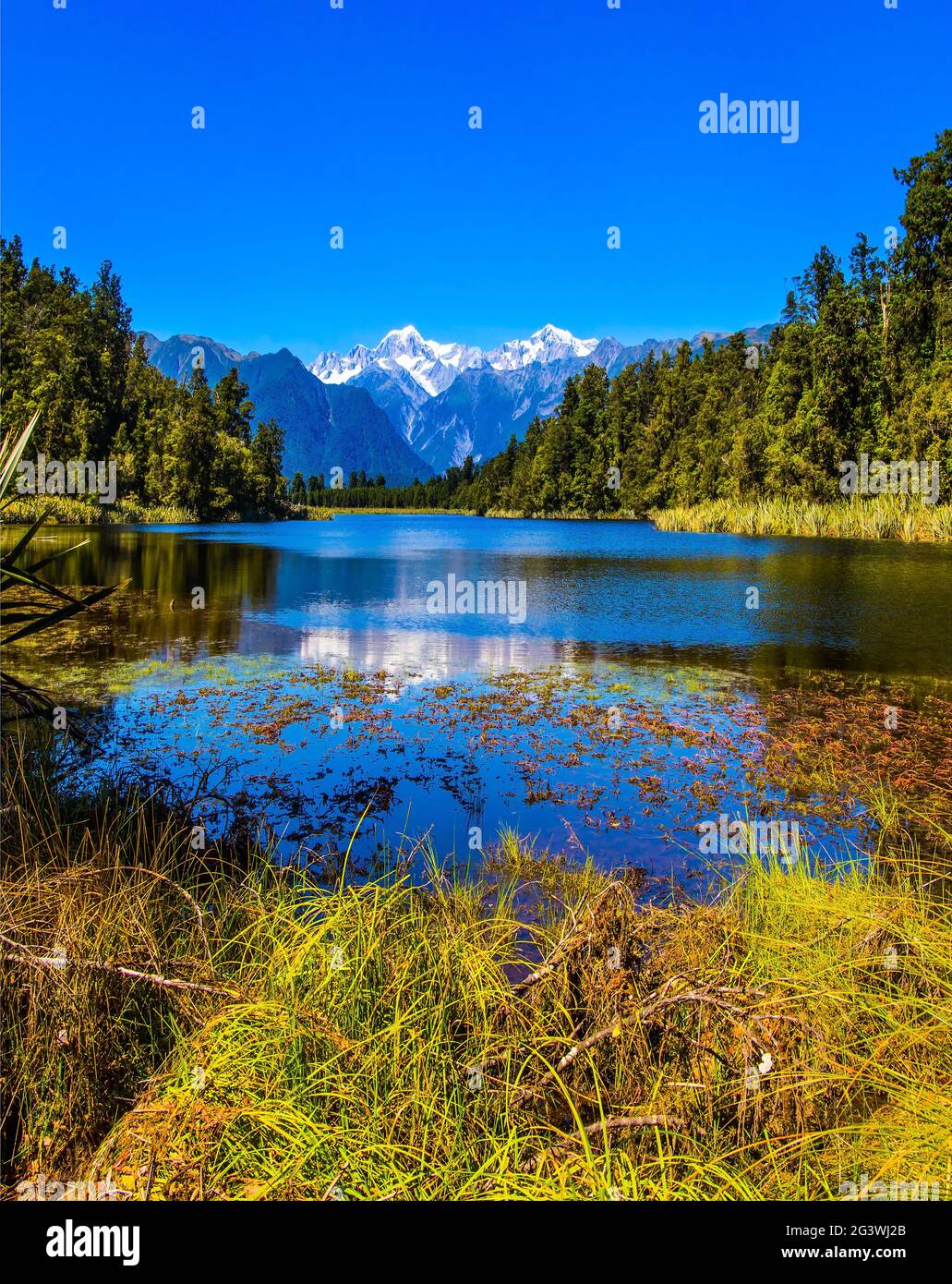 Surrounded trees hi-res stock photography and images - Alamy