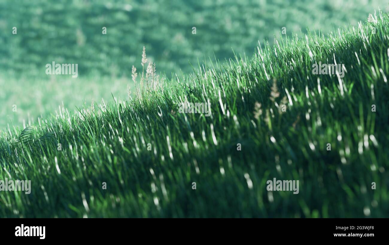 8K green grass field on hills background Stock Photo - Alamy