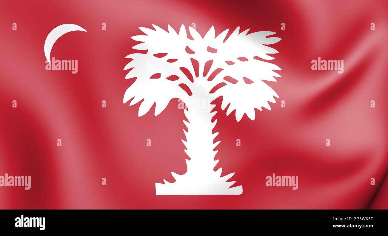 3D Citadel cadets over Morris Island Flag (South Carolina), USA. 3D ...