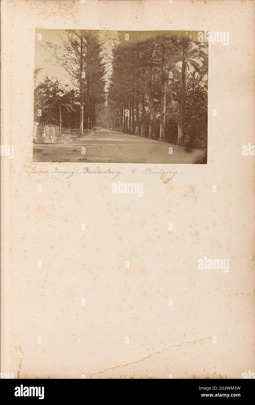 Laan in Kampong Belantong at Sumatra. Part of photo album by Robert ...