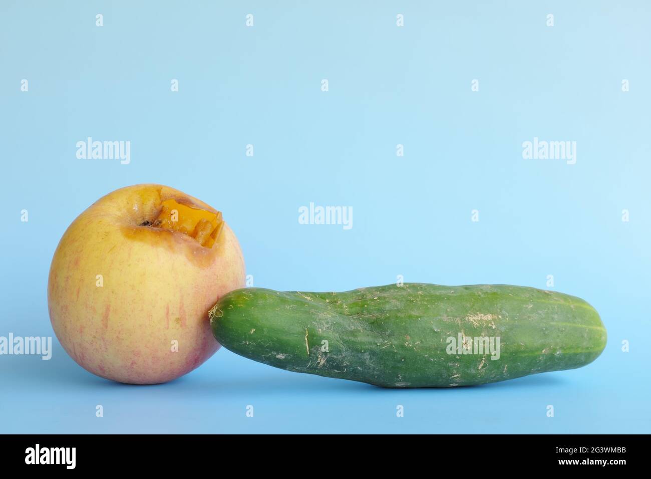 Rotten, bruised, stale or bad apple and cucumber isolated in blue ...