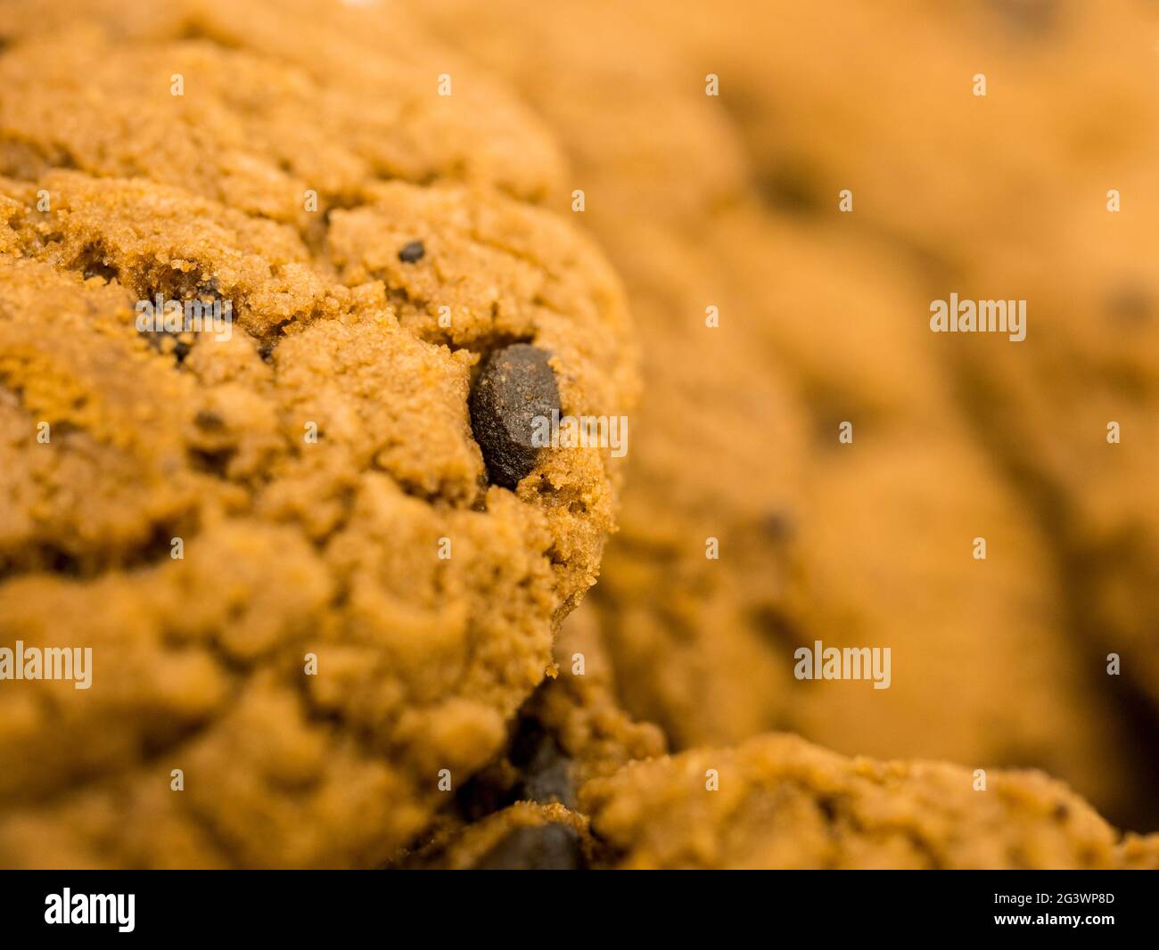 Fresh bake chocolate chip cookies Stock Photo - Alamy