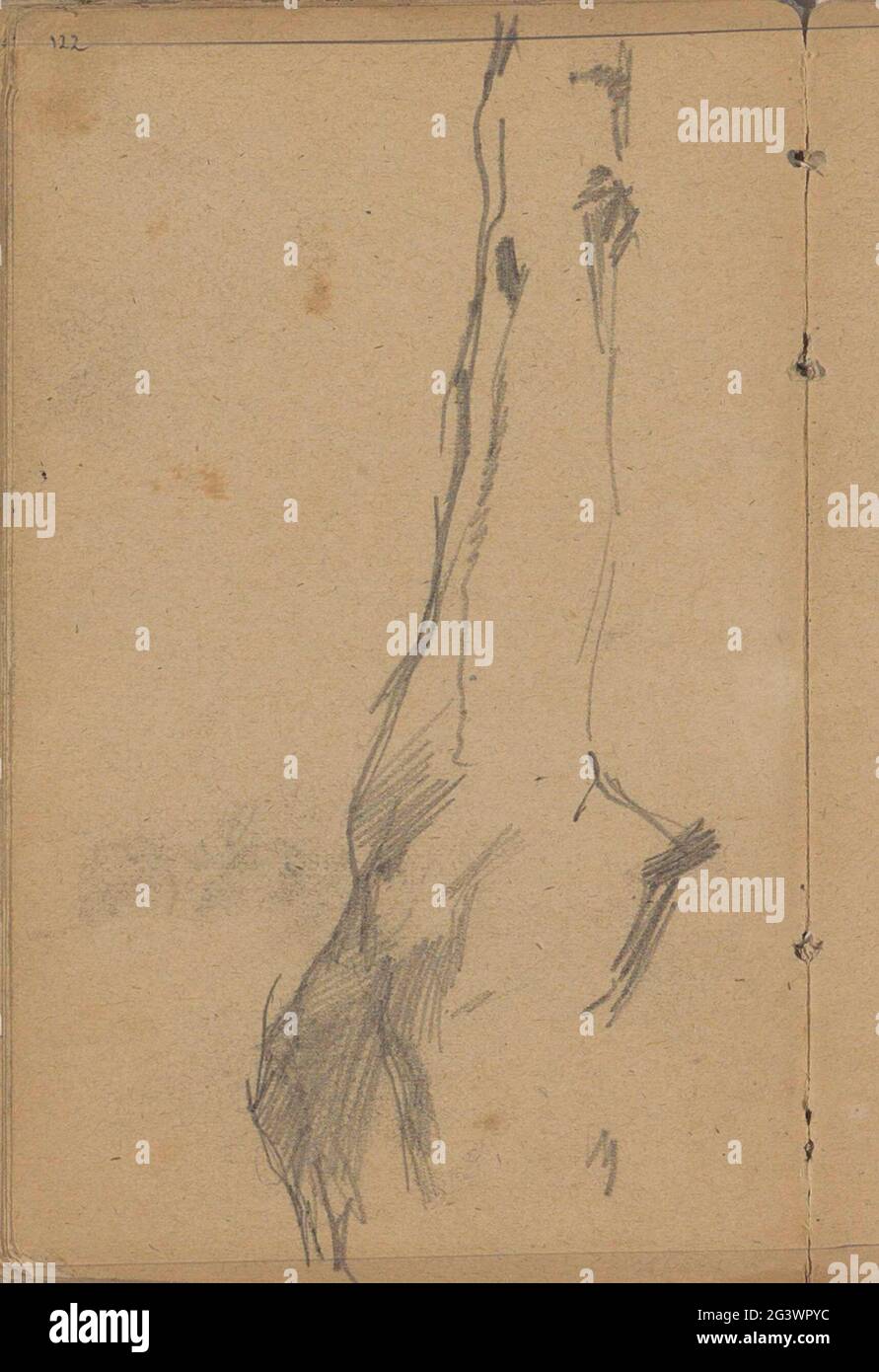 Horse bone. Horse bone. Page 122 from a sketchbook with 70 sheets Stock ...