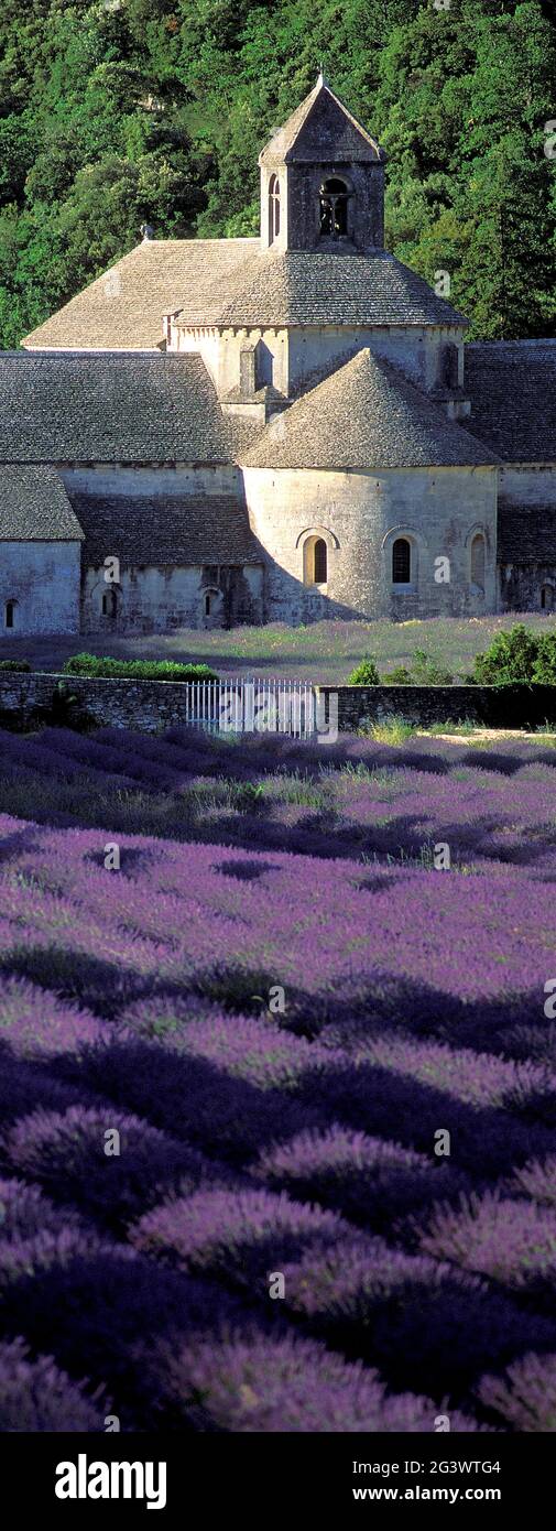 Roman abbeys in provence hi-res stock photography and images - Alamy