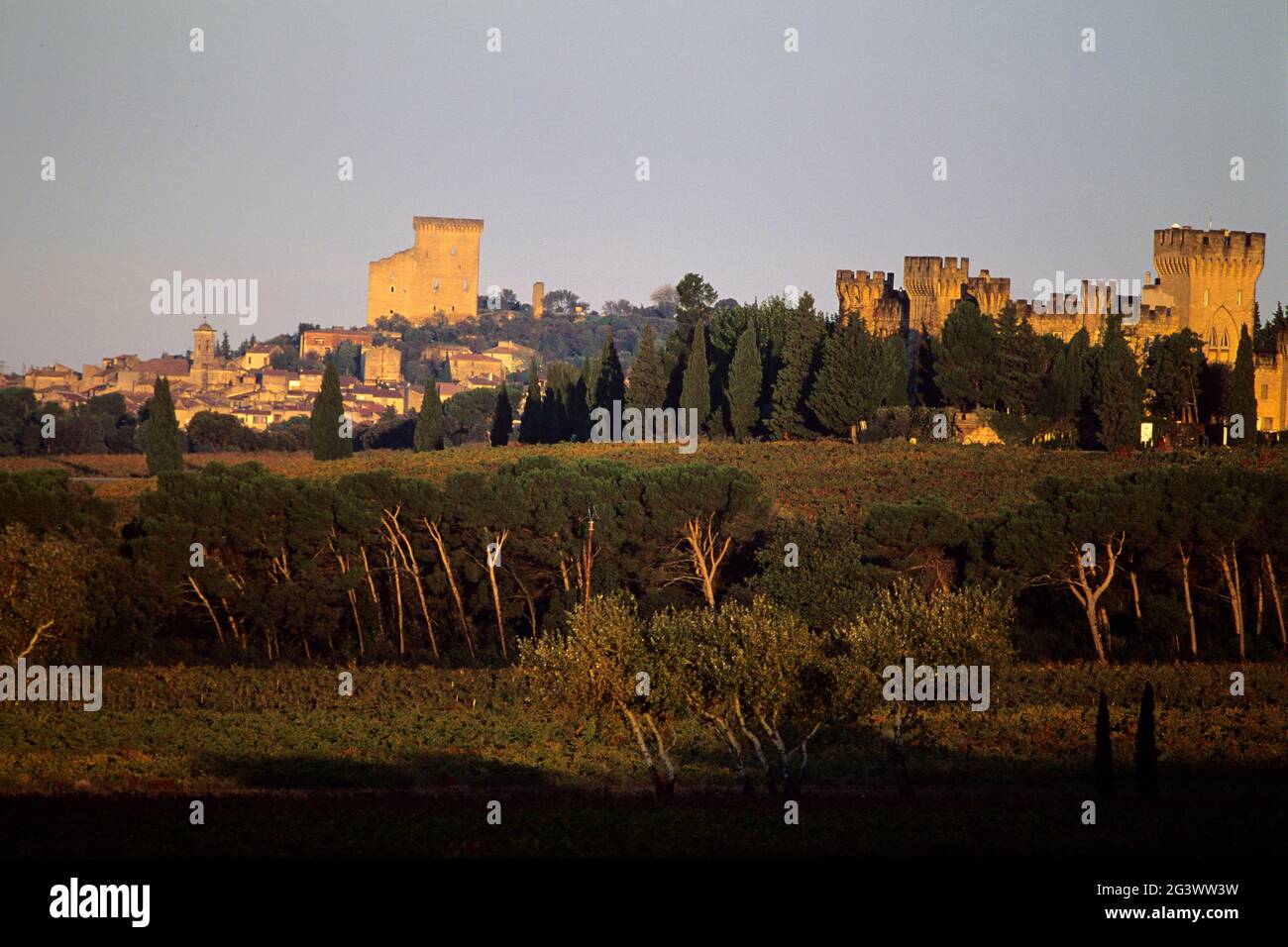 Chateauneuf pape vinyards hi-res stock photography and images - Alamy