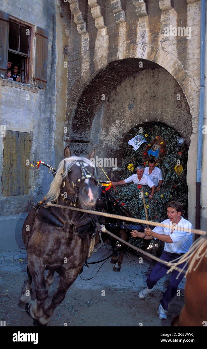 Galop High Resolution Stock Photography and Images - Alamy