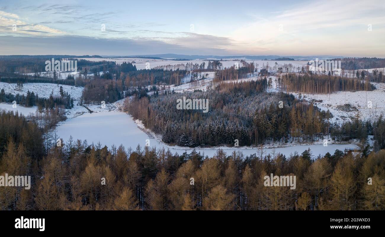 Forest treetops hi-res stock photography and images - Alamy