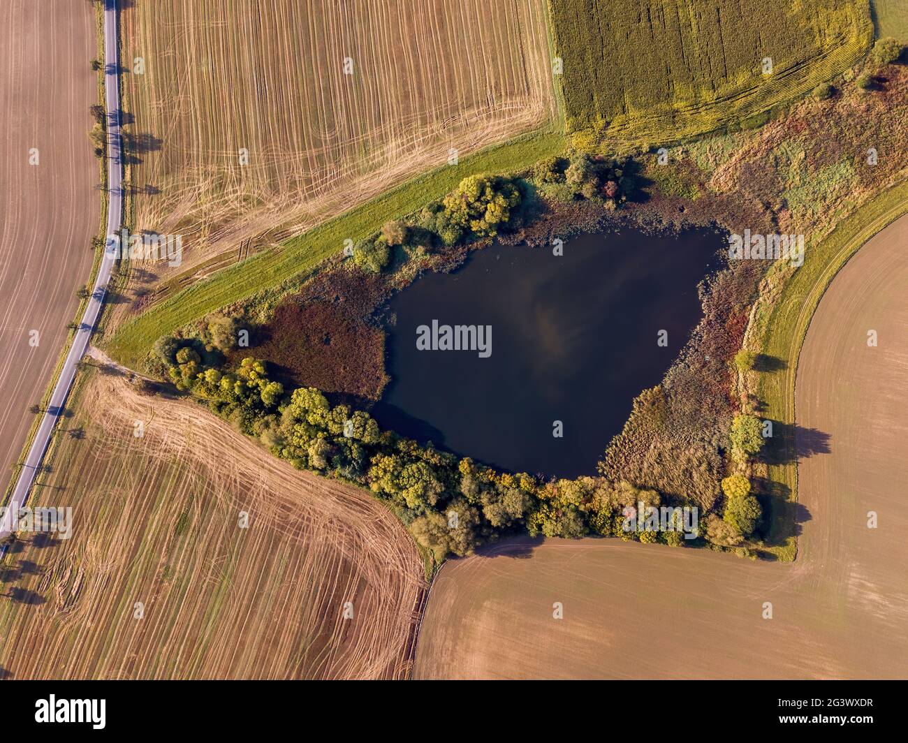 Aerial top down view of beautiful summer pond Stock Photo - Alamy