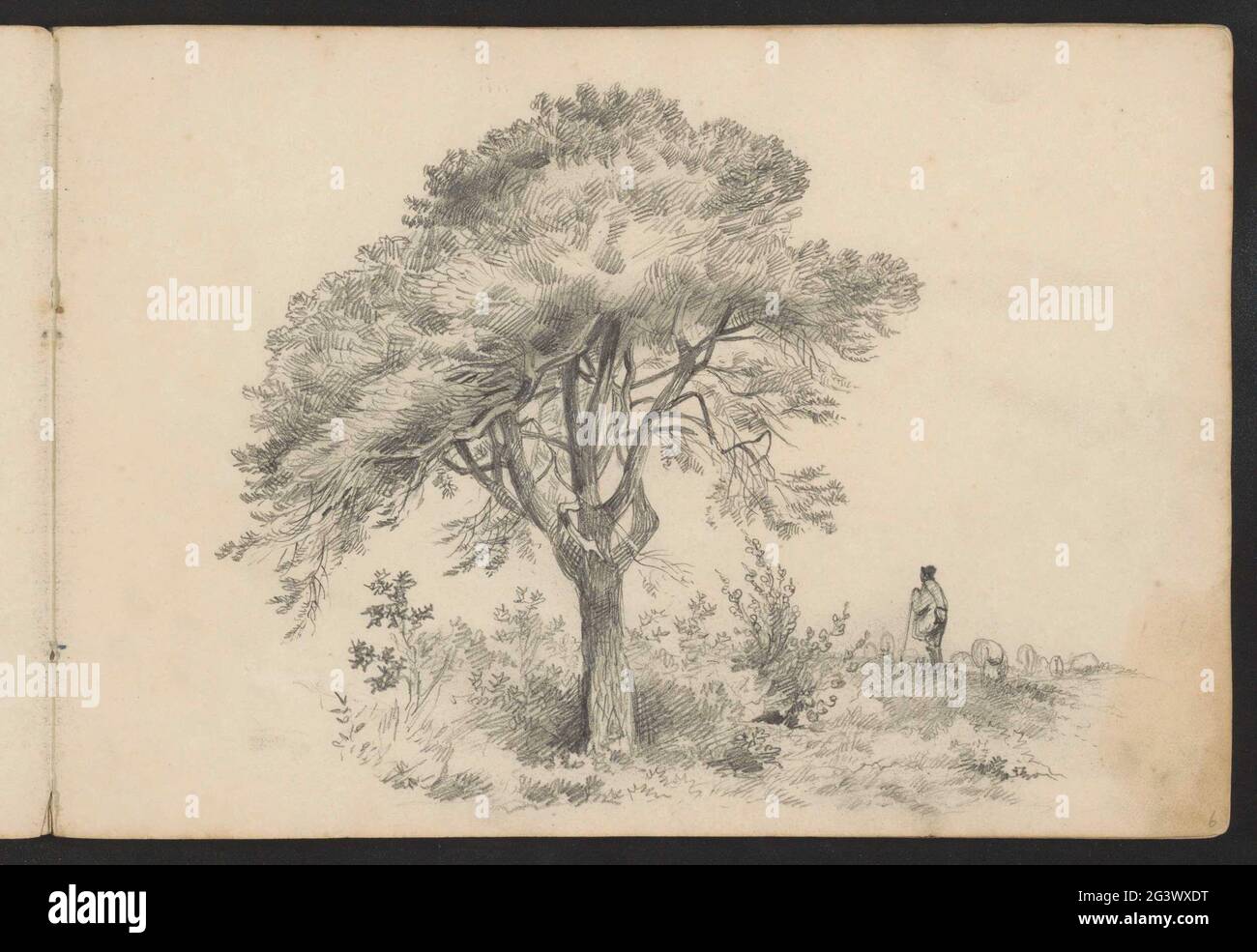 Sheep shepherd at a tree. Leaf 6 Recto from a sketchbook with 45 sheets ...