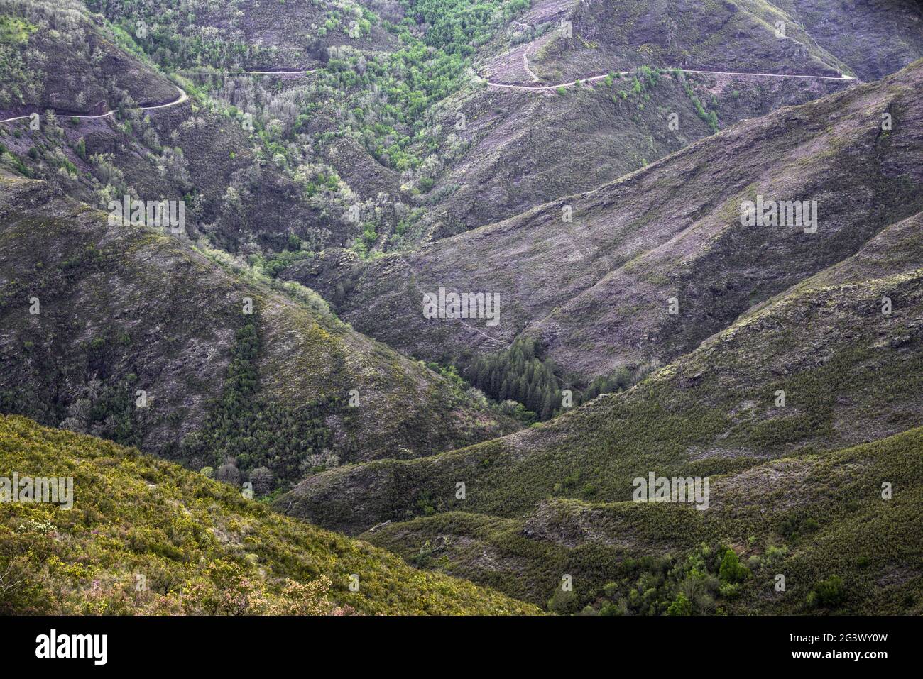 Austere landscape on the eroded slopes of the eastern valley of the ...