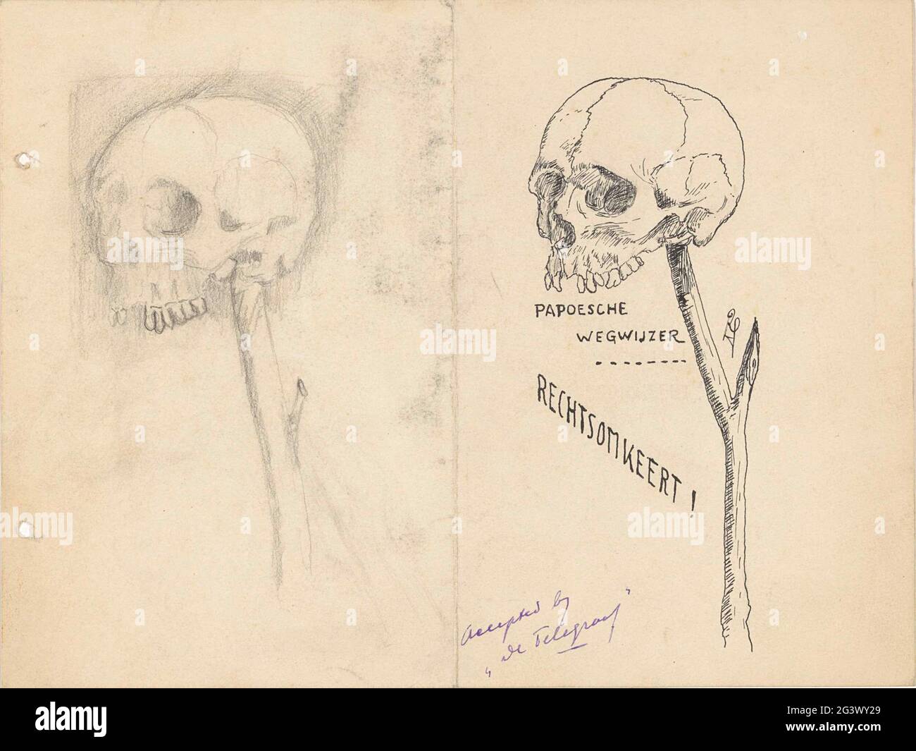 Human skull on a stick hi-res stock photography and images - Alamy