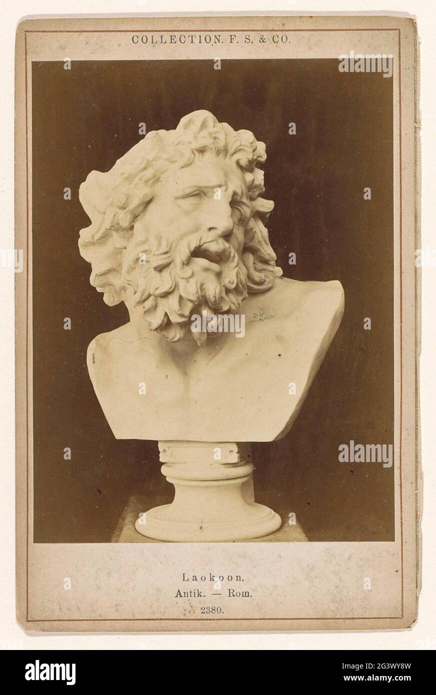 Laocoon Head