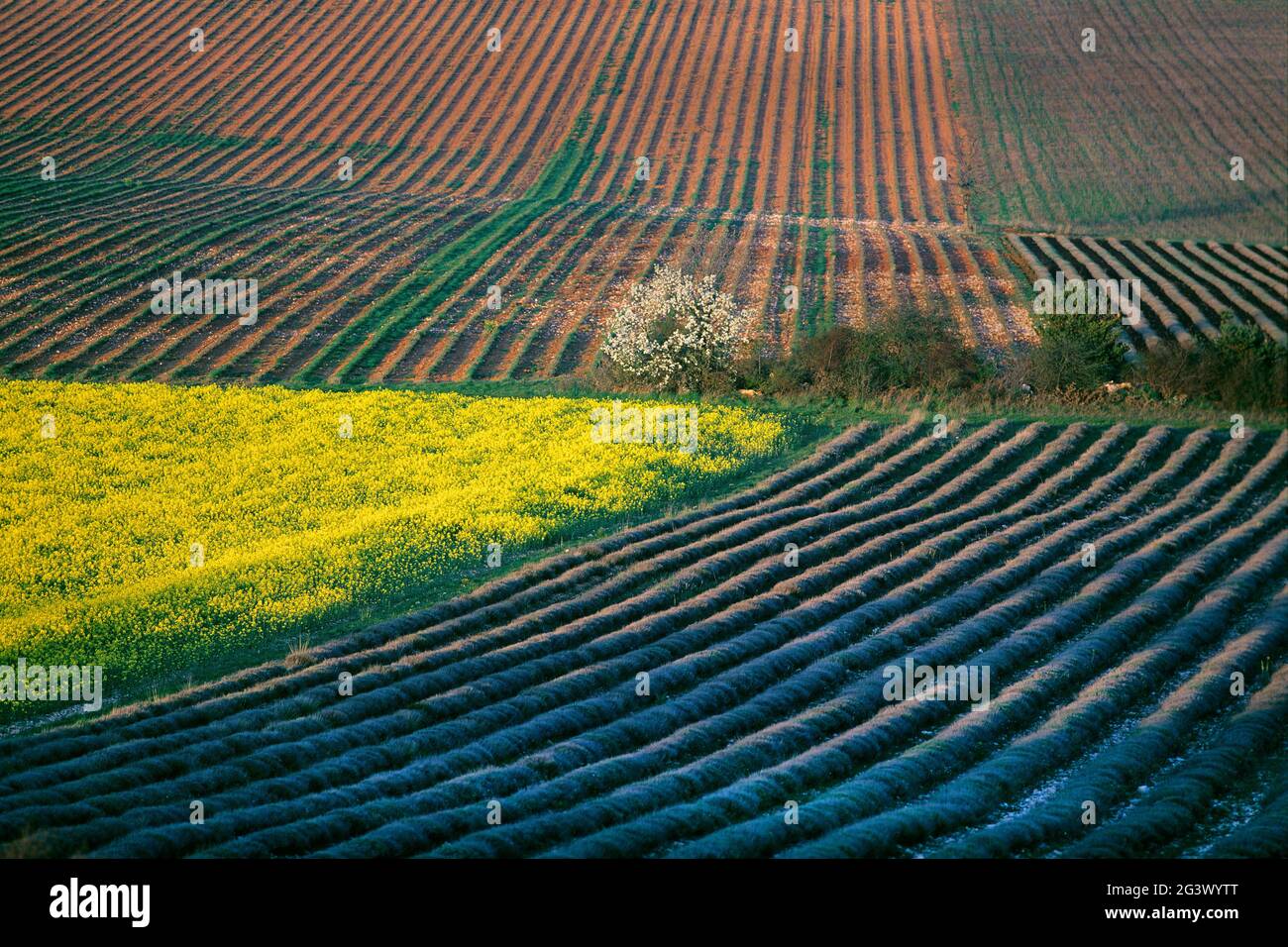 Plateau de sault hi-res stock photography and images - Alamy